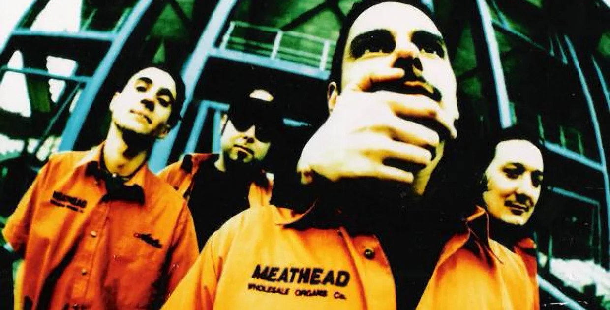 Band Meathead. Discography, members, discussion